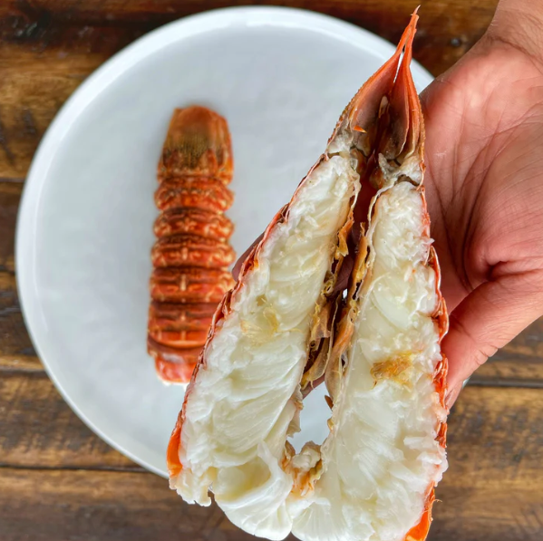 types of lobsters to eat