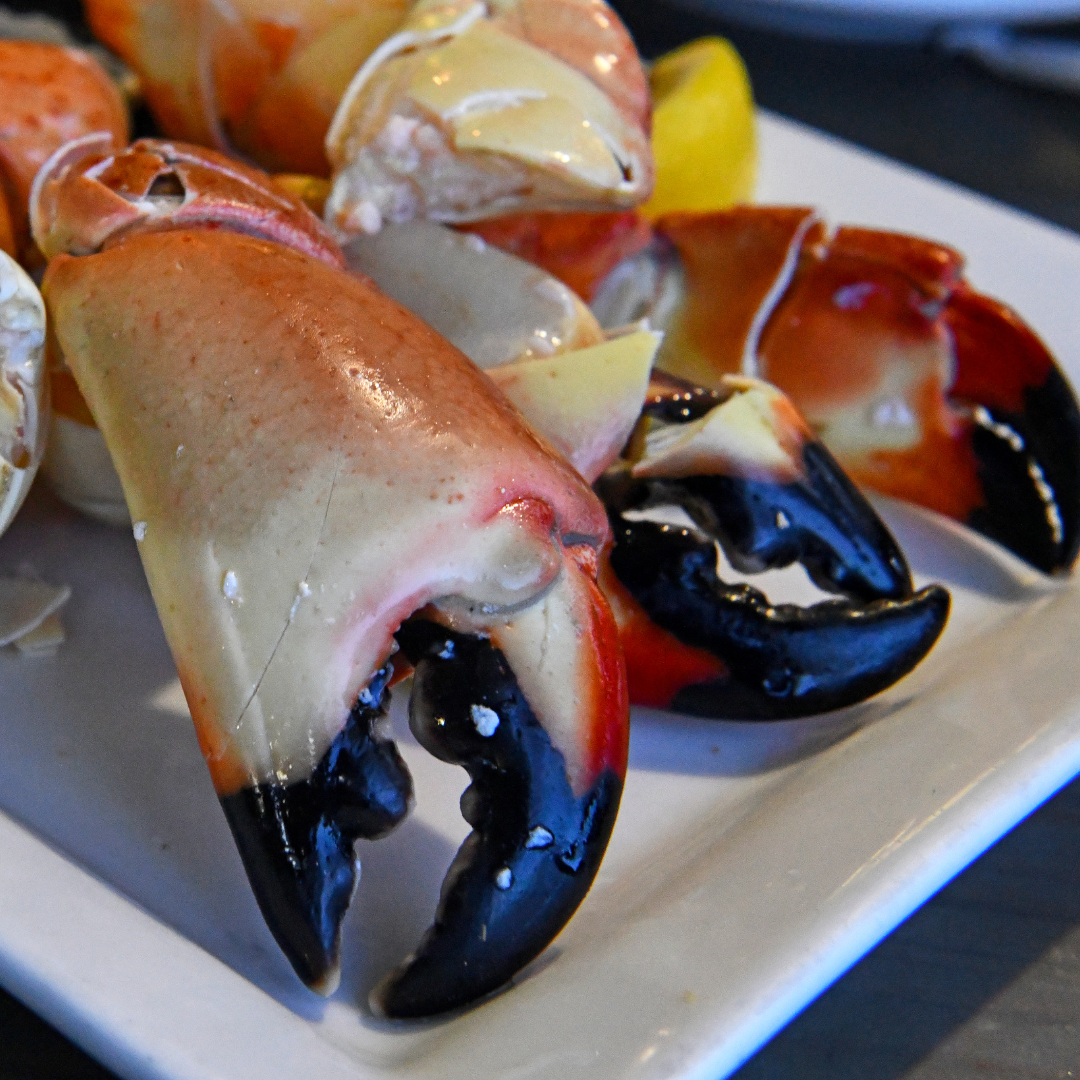 Are Stone Crabs Good for You? – Stone Crab Club