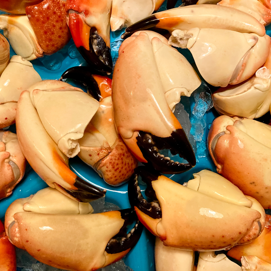 Why is Stone Crab Special? – Stone Crab Club
