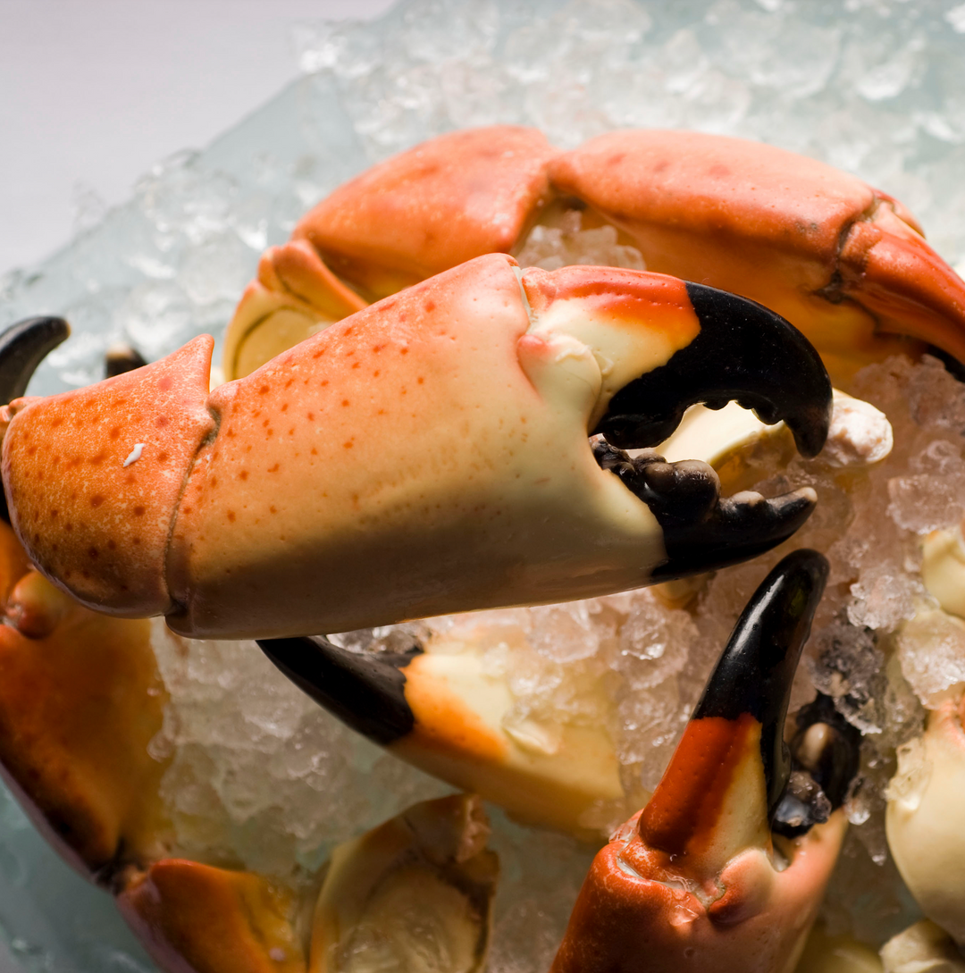 Stone Crab – Stone Crab Club